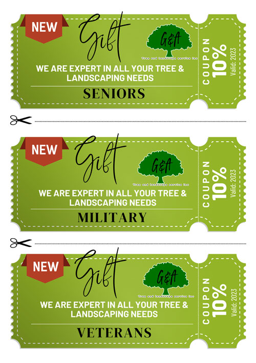 Home - G and A Tree and Landscape